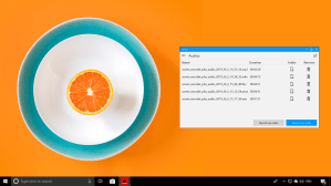 Screen Recorder — Usage Guidelines